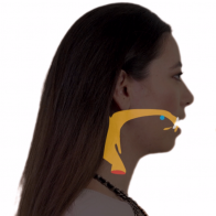 GermanPod101 Lesson Library for Absolute Beginner