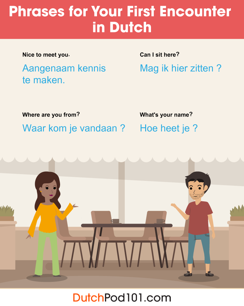 Common Questions In Dutch How To Answer Them